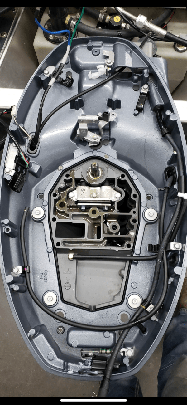 About Us – Mojo Marine MN